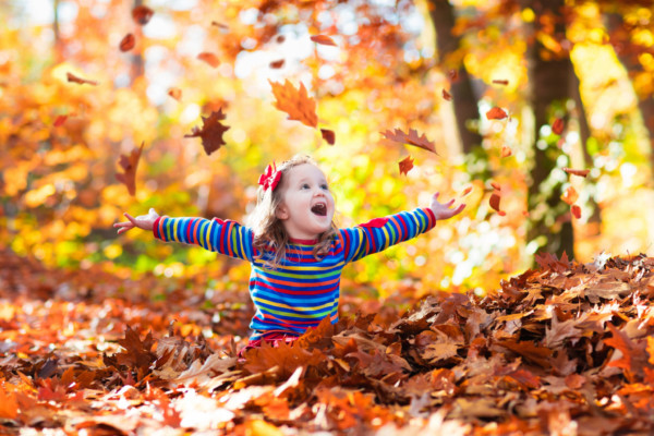 Favorite Autumn Walks in the Greater Puyallup Area - HorizonView Health